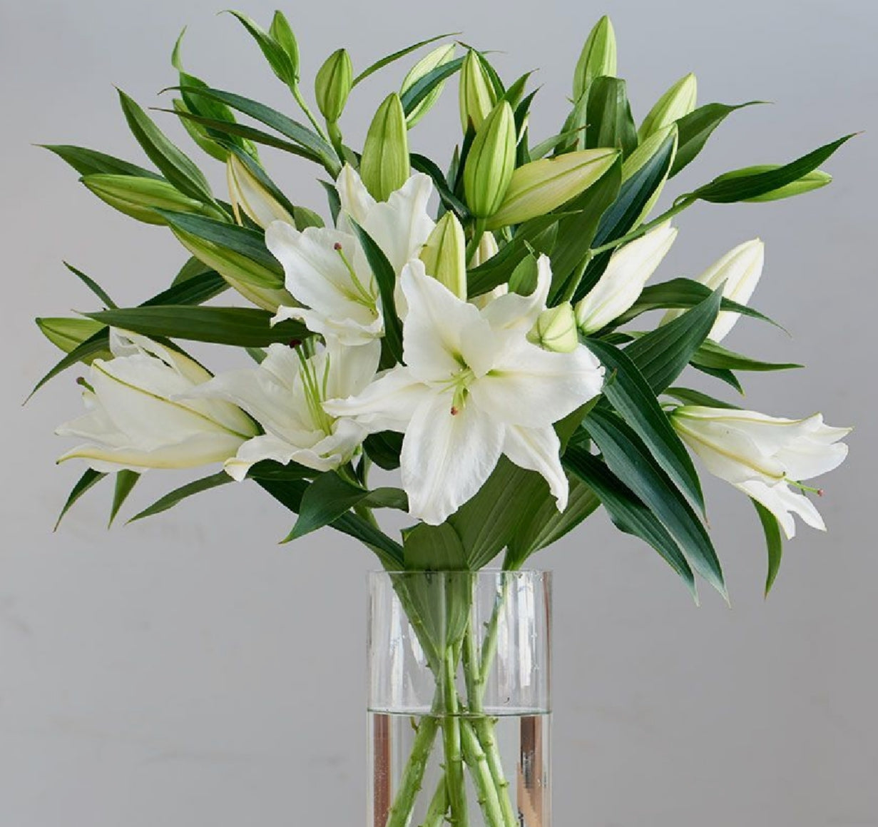 White Lillies Wonder - Rangiora Flower Shop